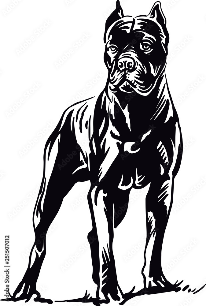cane corso dog Stock Vector | Adobe Stock