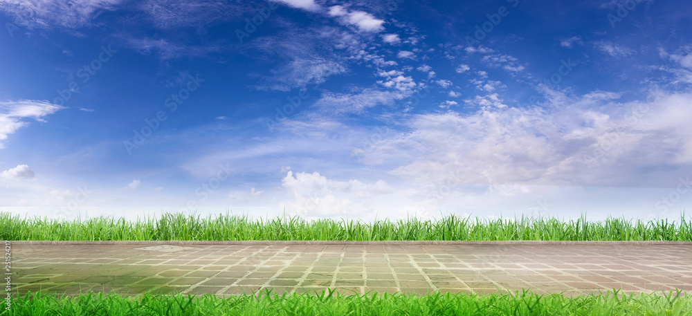 Empty concrete floor with blue sky and white clouds, with green grass ...