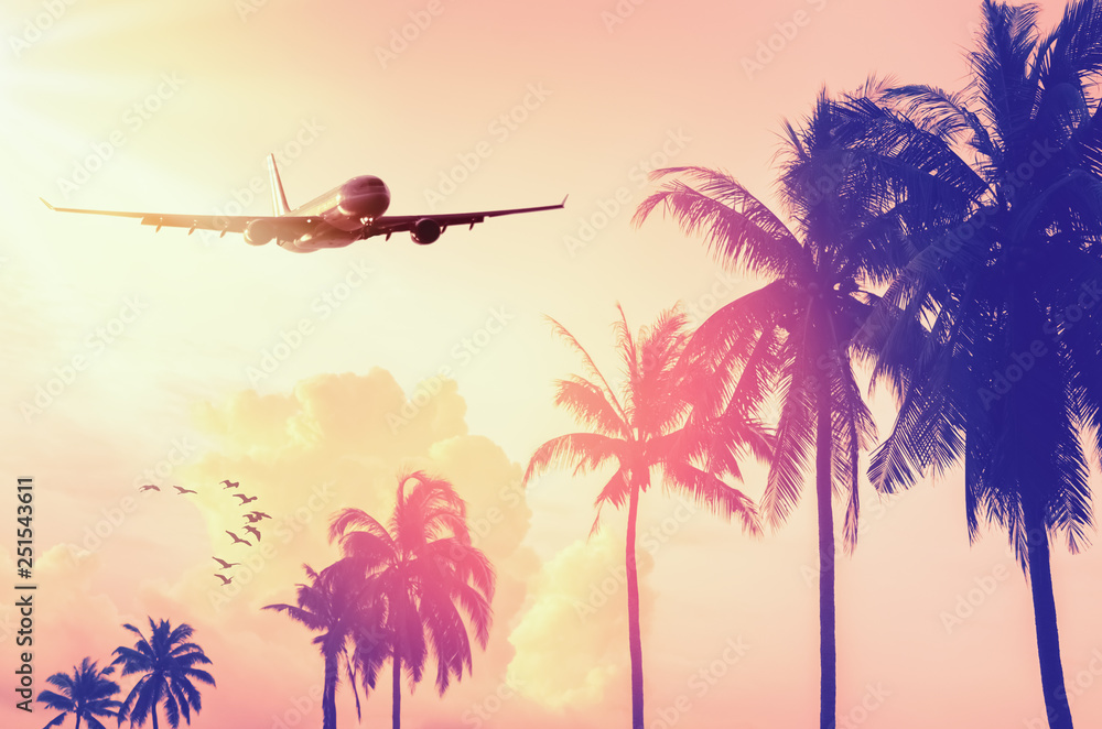 Airplane flying over tropical palm tree and sunset sky abstract ...