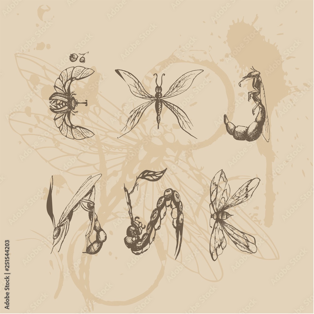 font Insects in the form of modified beetles spiders flies and ...