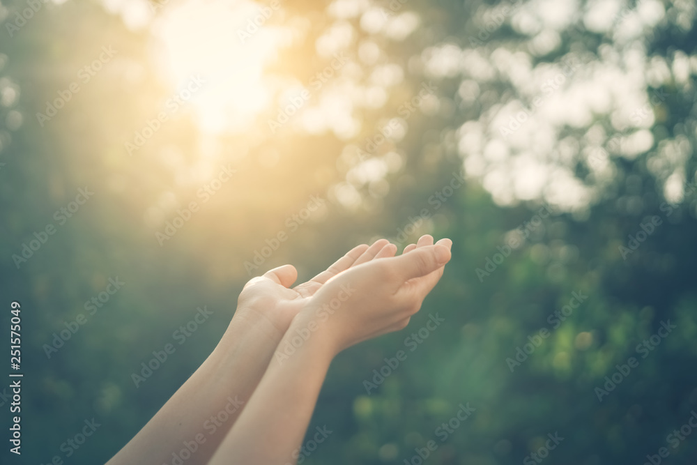 Woman open hand up to sunset sky and green blur leaf bokeh sun light ...