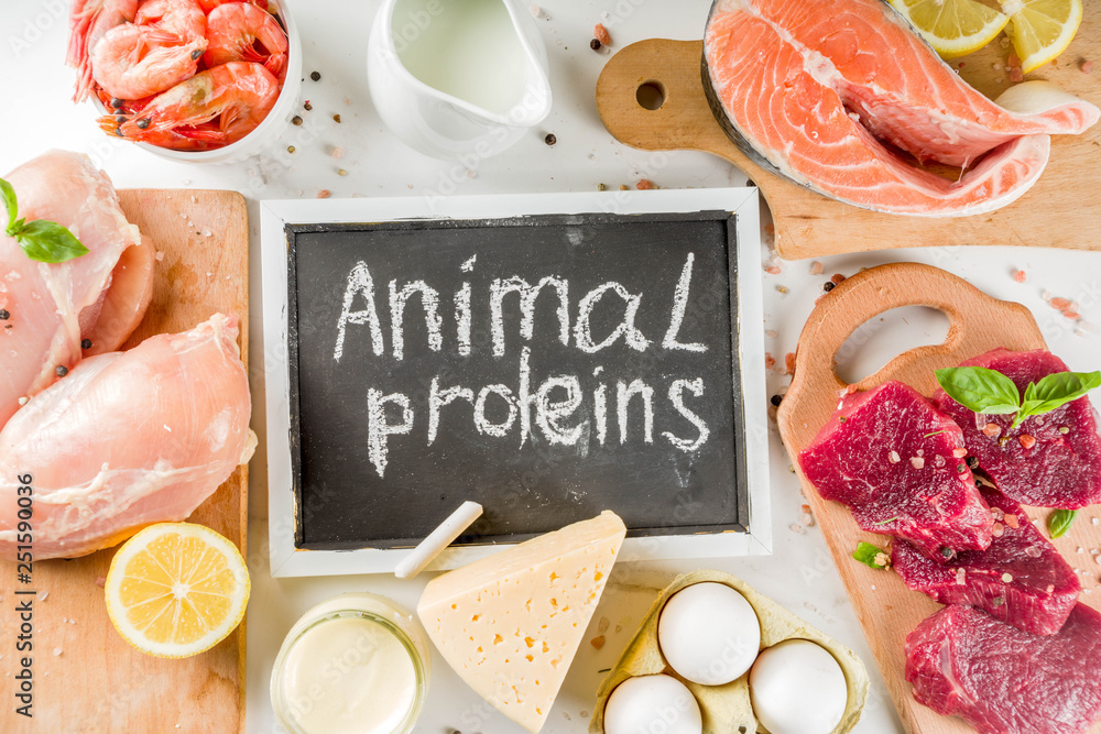 Animal protein sources - raw beef meat steak, chicken breast fillet ...