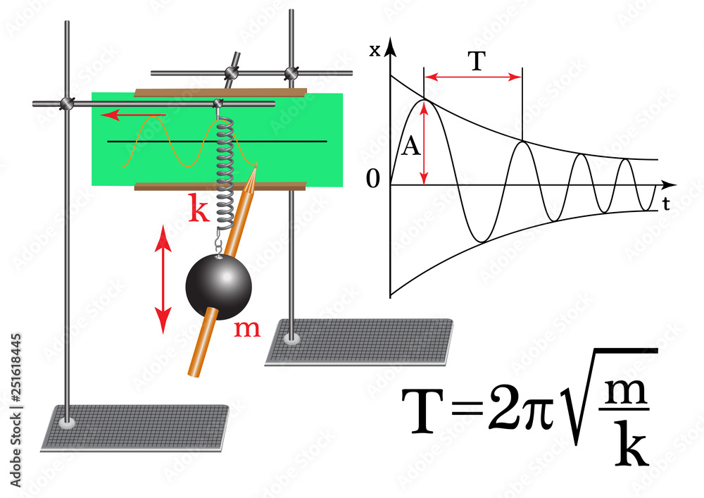 A physical experiment on the study of mechanical oscillations with the ...