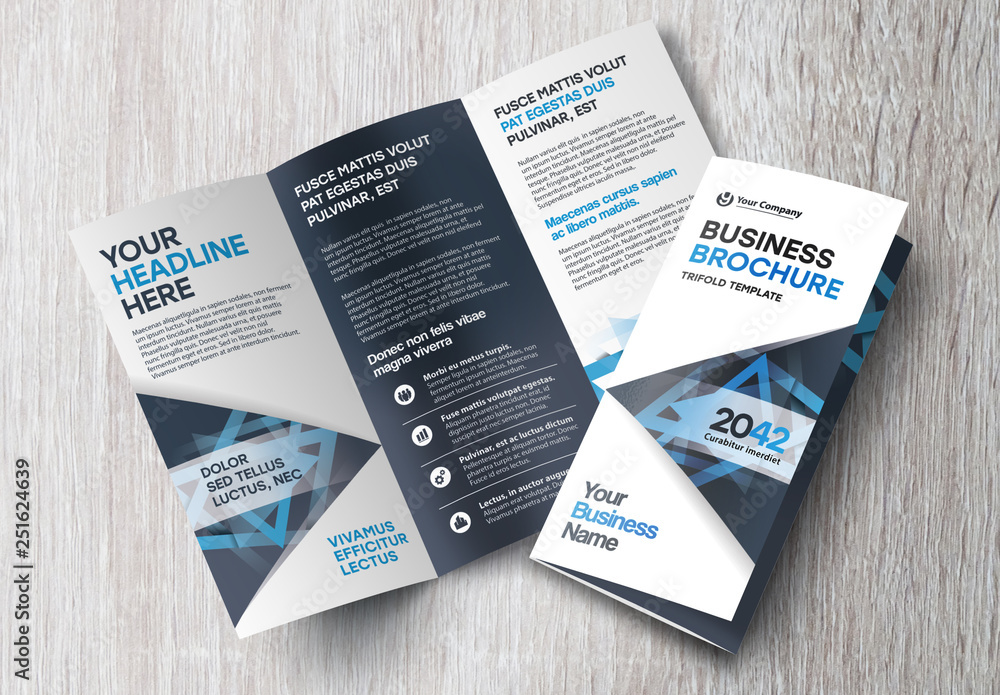Tri-Fold Brochure Layout Stock Template | Adobe Stock
