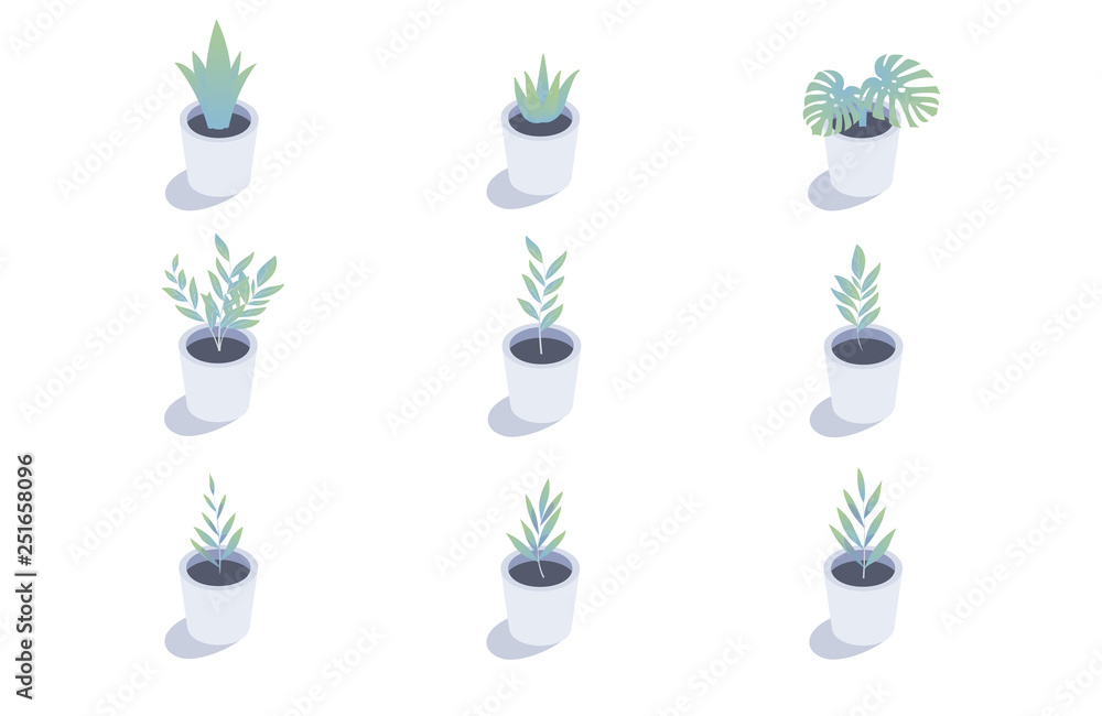 Set of isometric plants. Isolated indoor plants in flower pots. Stock ...