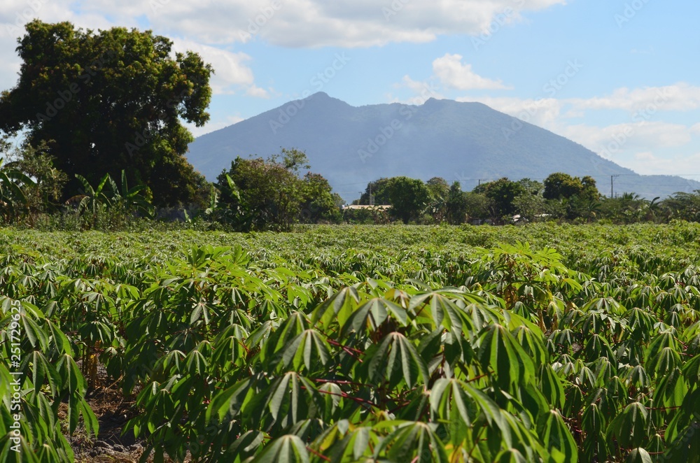 View of Mount Arayat in Luzon, Philippines Stock Photo | Adobe Stock