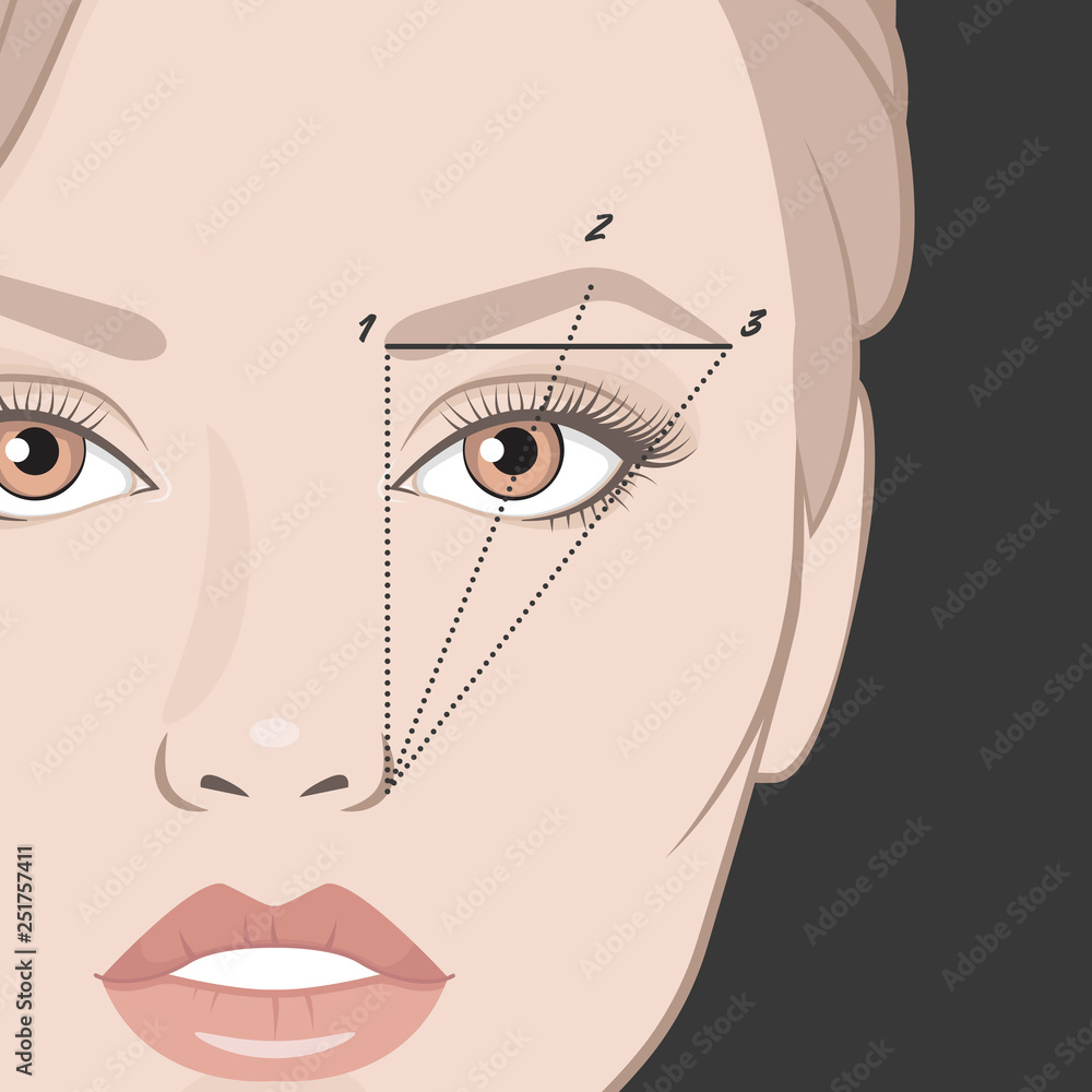 Vector illustration of woman face and eyebrow mapping. How to shape ...