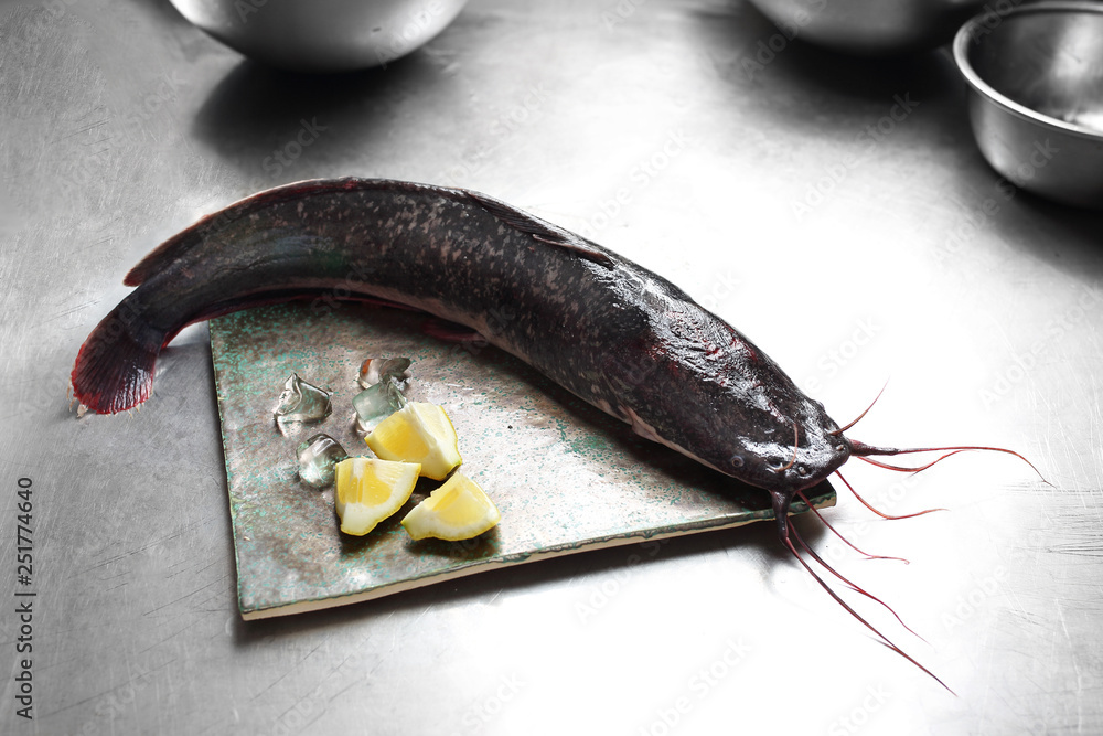 Sum afrykański. Ryba na kuchennym blacie. Stock Photo | Adobe Stock