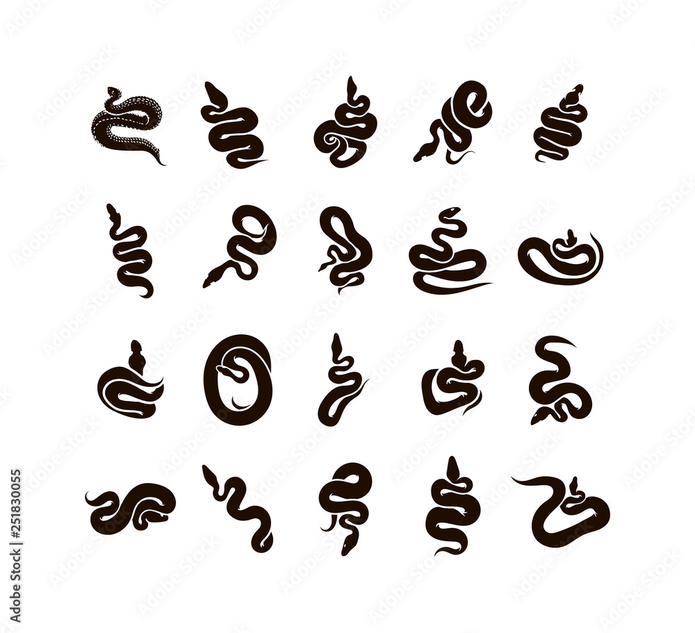 Vector hand drawn snake sign symbol illustration on white background ...
