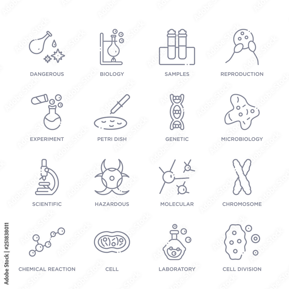 set of 16 thin linear icons such as cell division, laboratory, cell ...