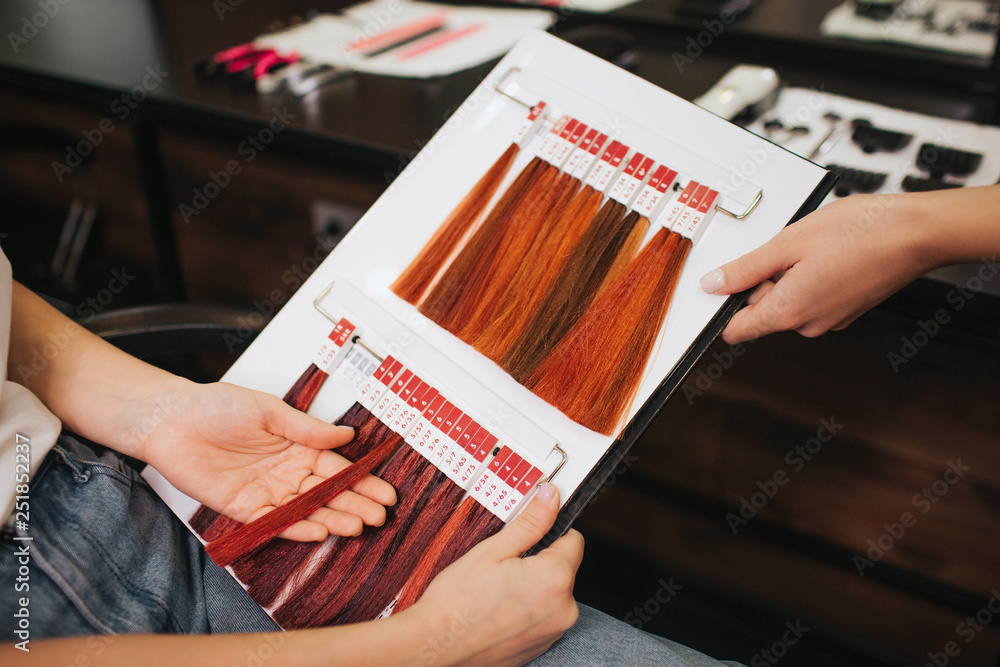 Hair color chart at salon. Female client with hairdresser choosing ...