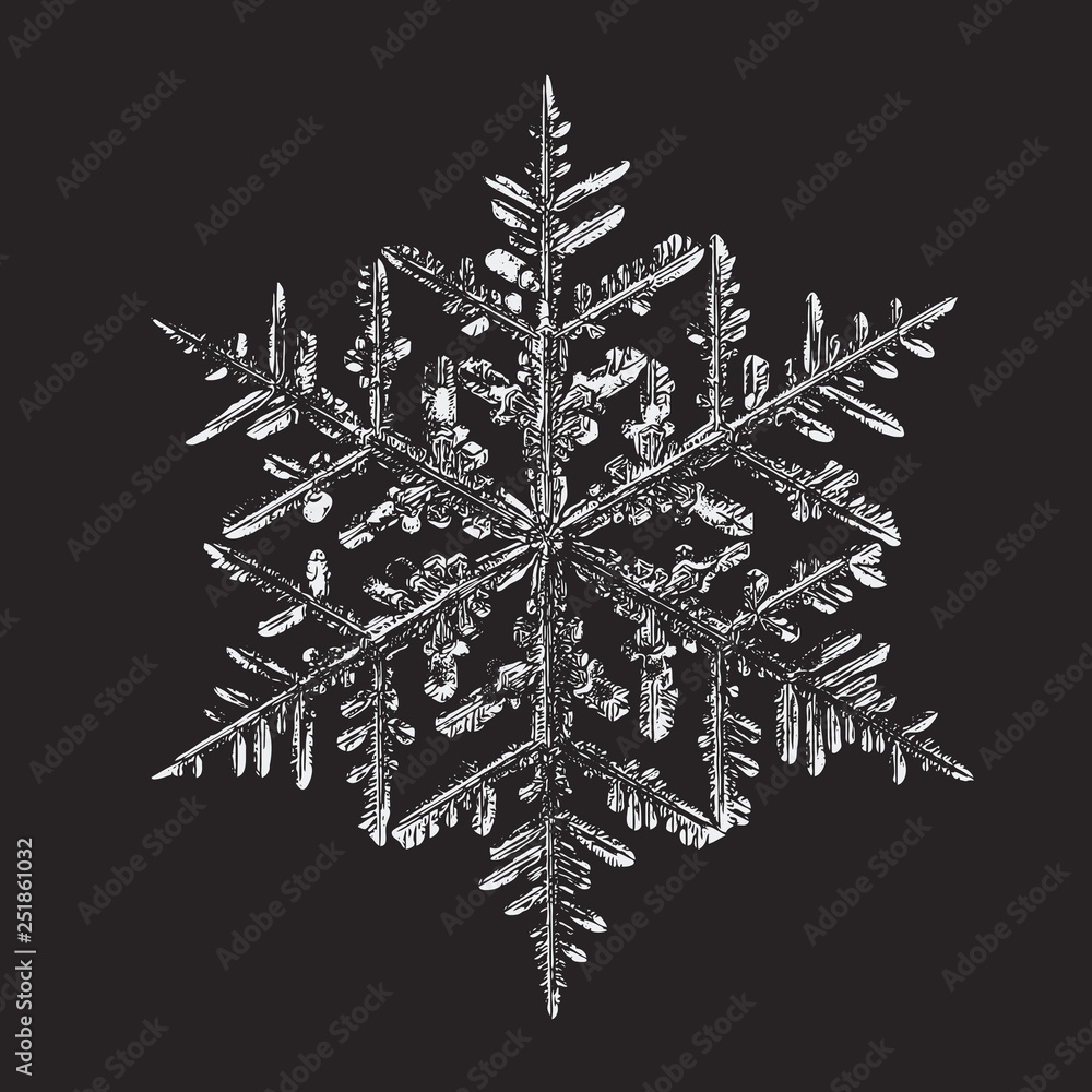 Snowflake isolated on black background. Vector illustration based on ...