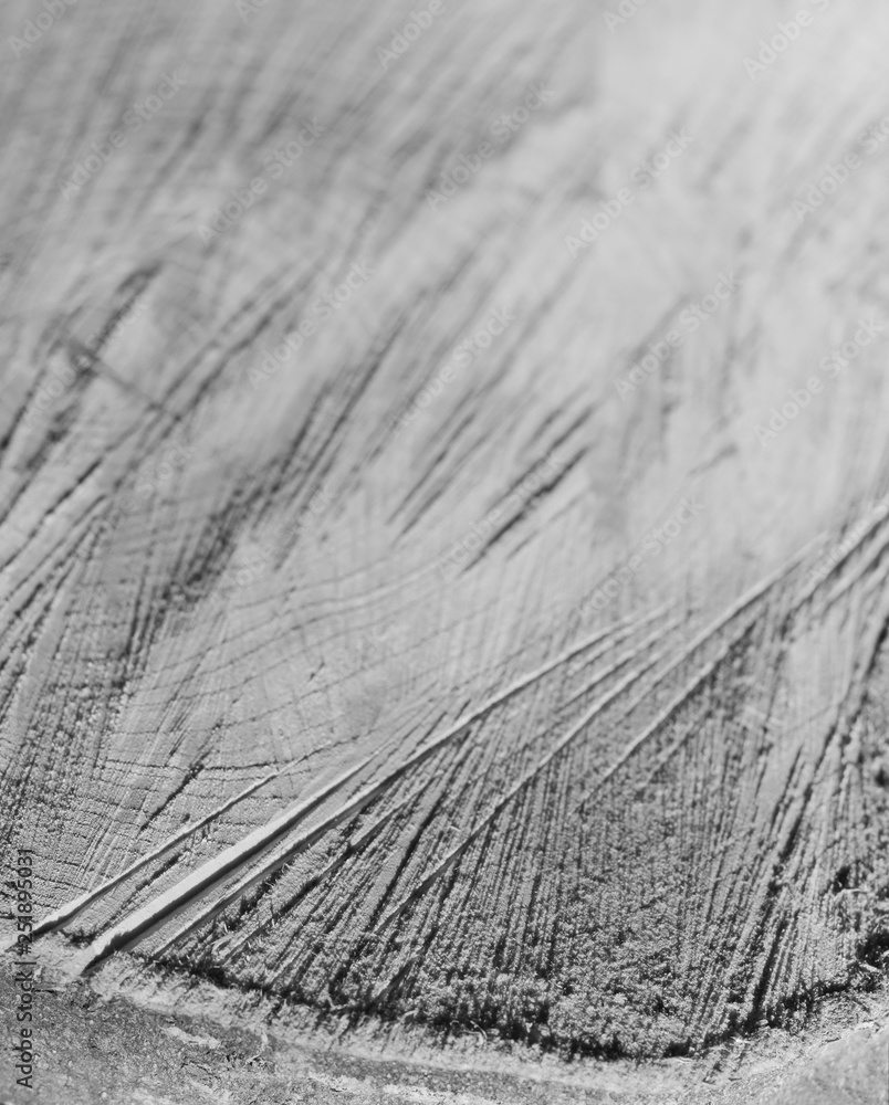 Timber industry natural abstract background: rough surface of wood log ...