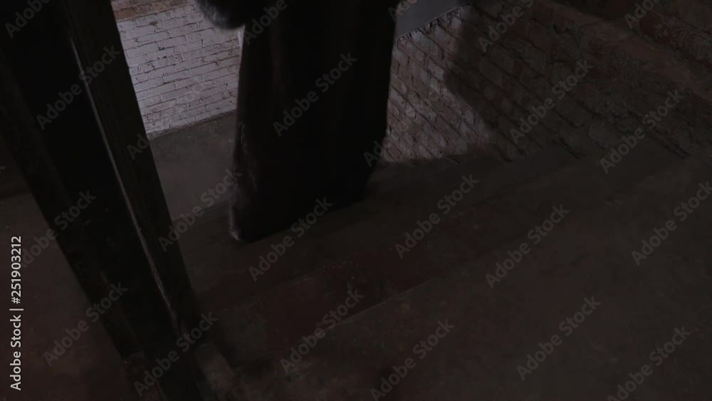 Flapper with a Shotgun Walking Down Stairs - Gun Mall Mafia - Vintage ...