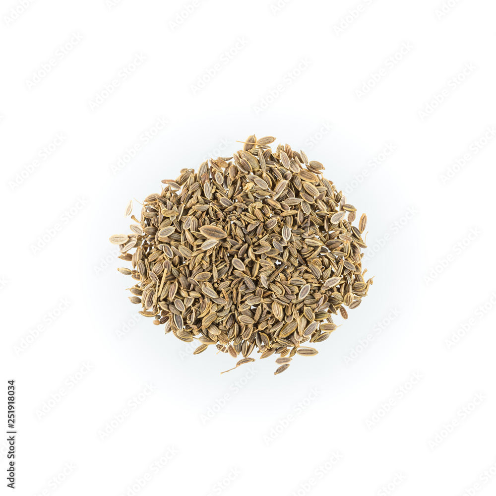 Dried Herbs, Foeniculum vulgare Mill., Foeniculum vulgare Mill. Var. dulce Alef.,Foeniculum ...