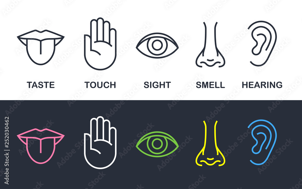 Five human body senses sign set with nose for smell, tongue for taste ...