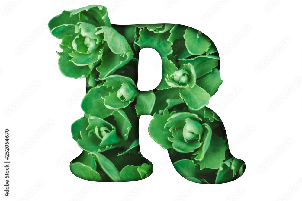 R - letter of the alphabet-the background is made of real flowers ...