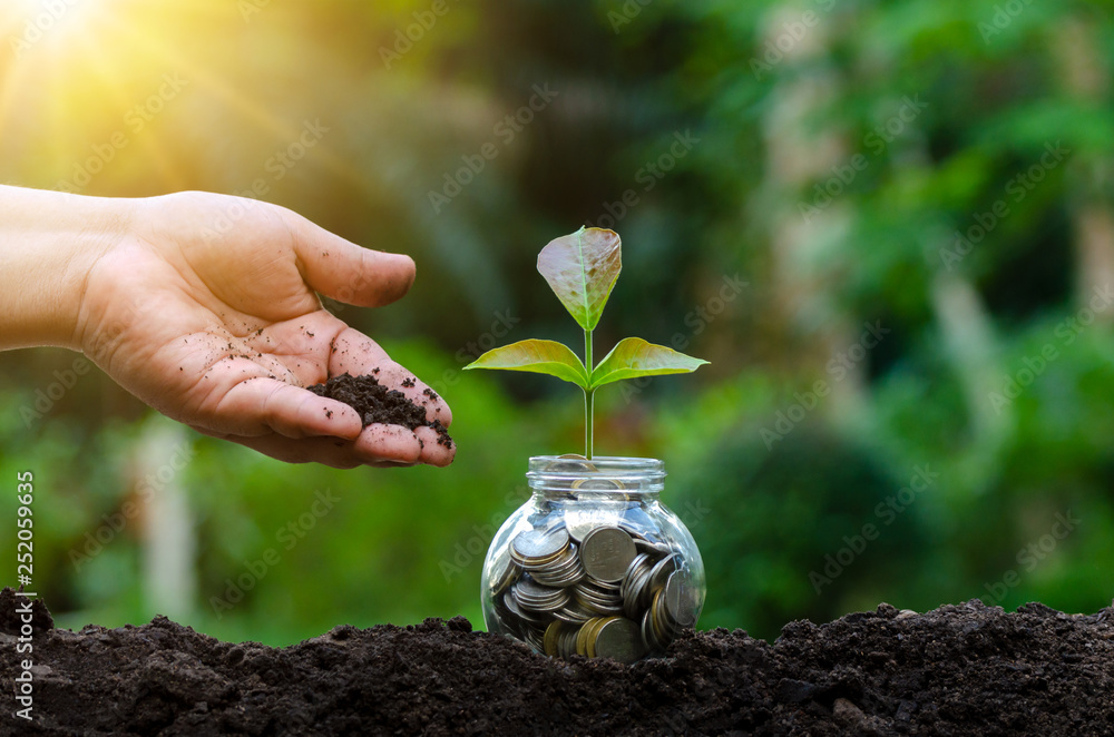 hand Put money Bottle Banknotes tree Image of bank note with plant ...