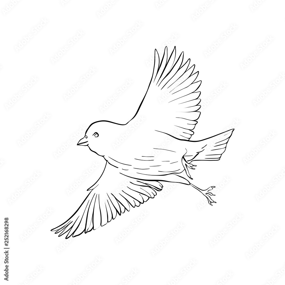 vector flying bird Stock Vector | Adobe Stock