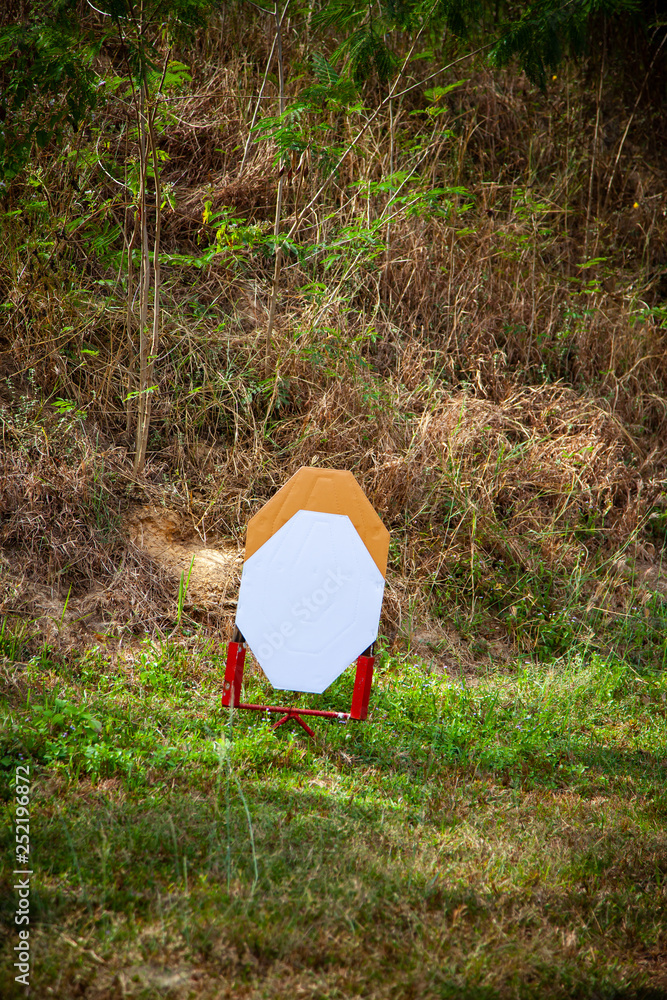 Clean target for battle shooting, IPSC target shooting guns. Stock ...