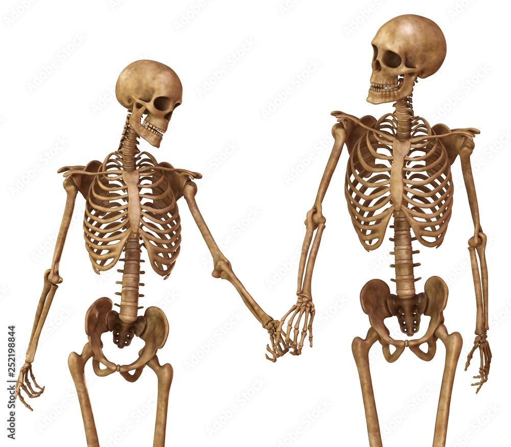 Skeletons of man and woman in the pose of lovers. Isolated on white ...