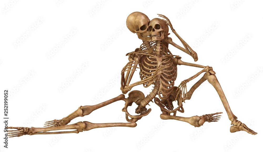 Skeletons of man and woman in the pose of lovers. Isolated on white ...