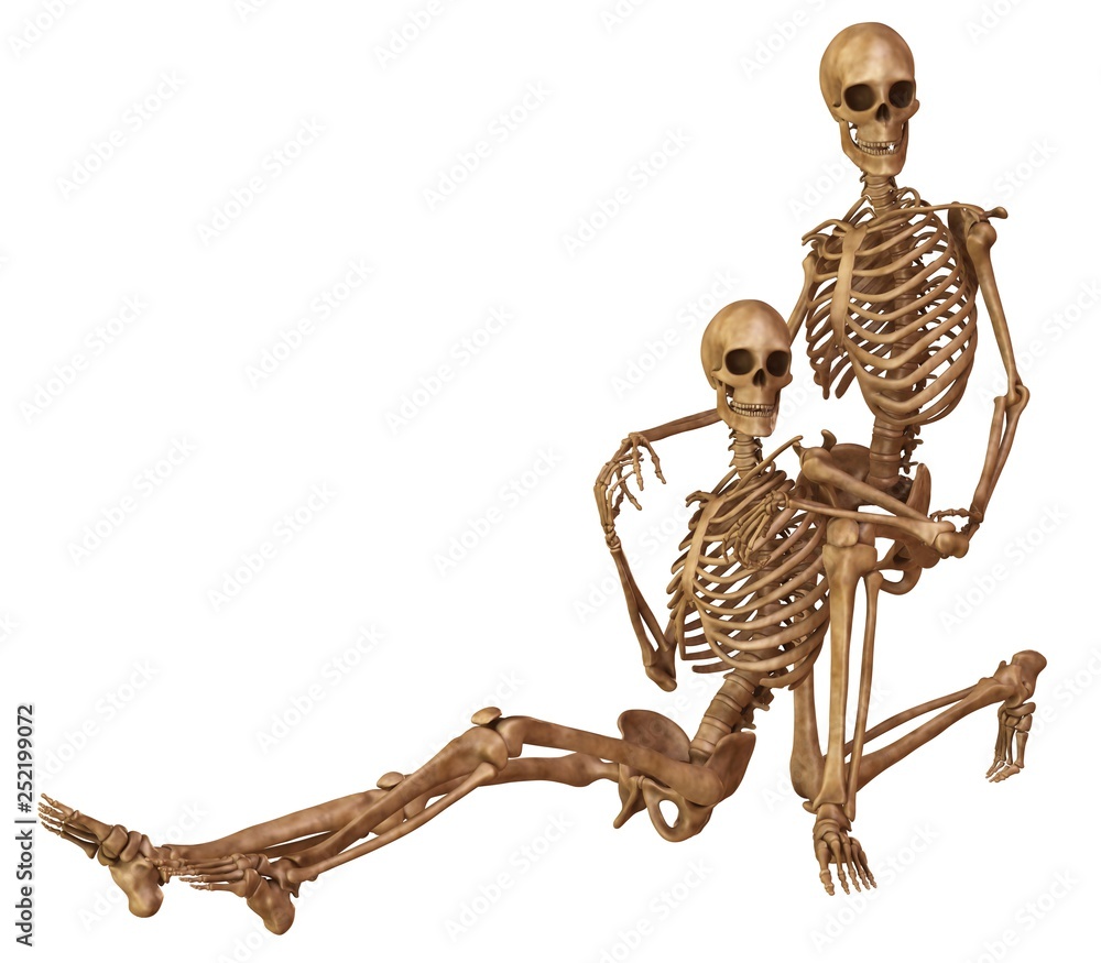 Skeletons of man and woman in the pose of lovers. Isolated on white ...
