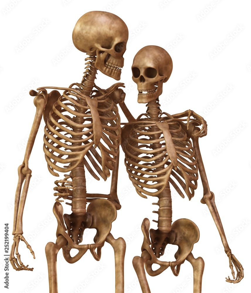 Skeletons of man and woman in the pose of lovers. Isolated on white ...