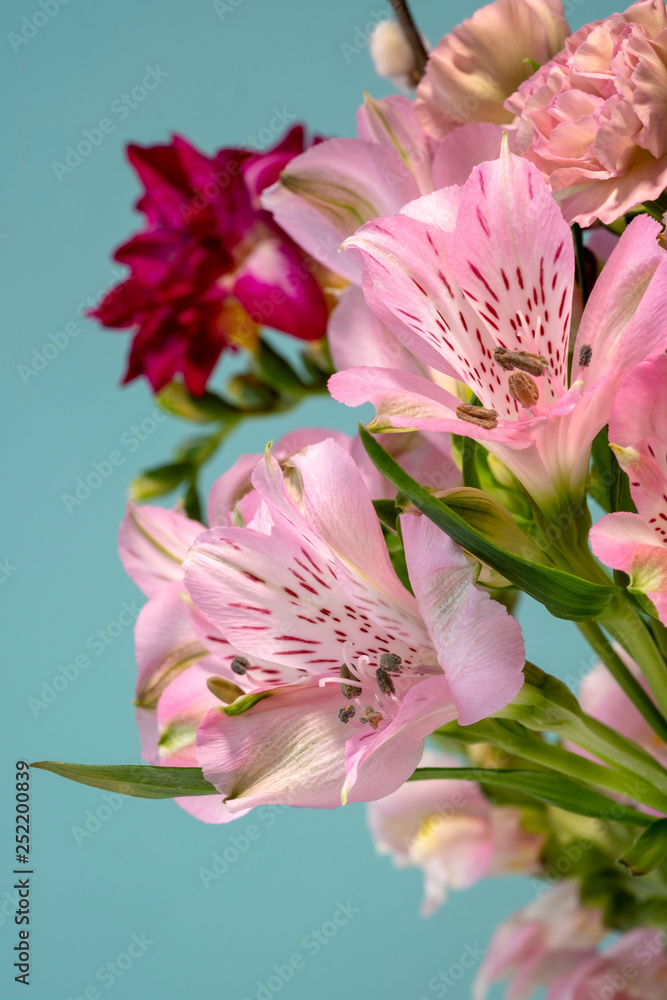 Flowers Stock Photo | Adobe Stock