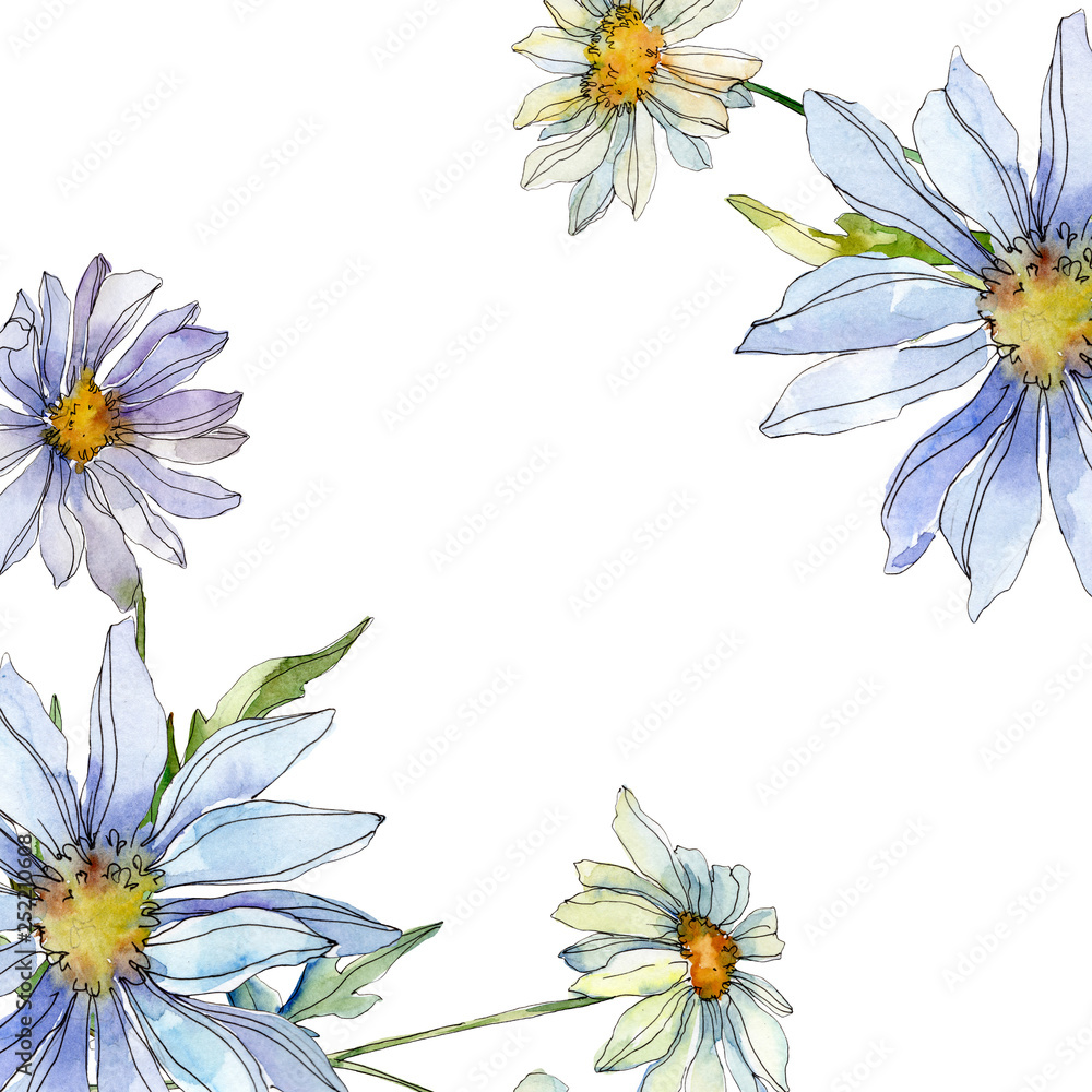 Daisy floral botanical flower. Watercolor background illustration set ...