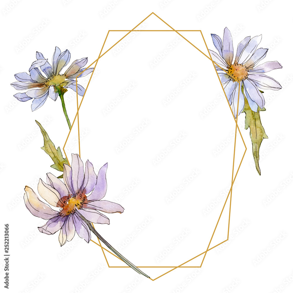 Daisy floral botanical flower. Watercolor background illustration set ...
