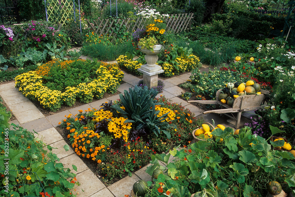 Jardin potager fleuri Stock Photo | Adobe Stock