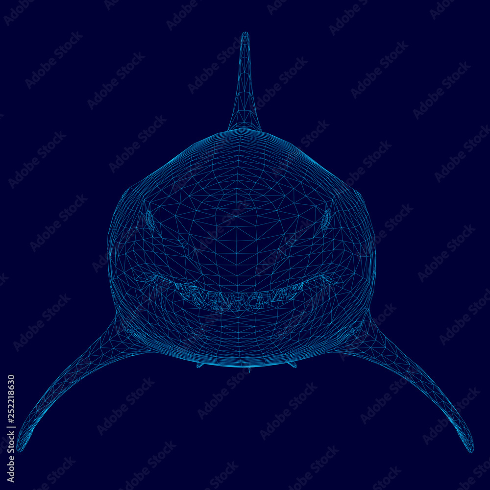 Polygonal shark wireframe of blue lines on a dark background. Front ...