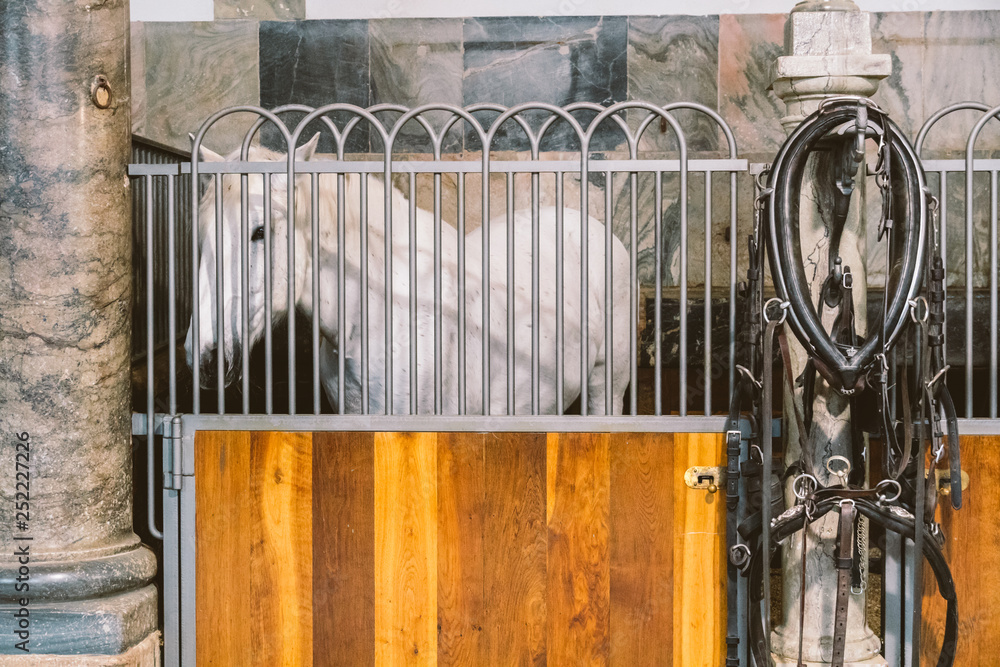 Royal Stable in Denmark, the city of Copenhagen in the territory of ...