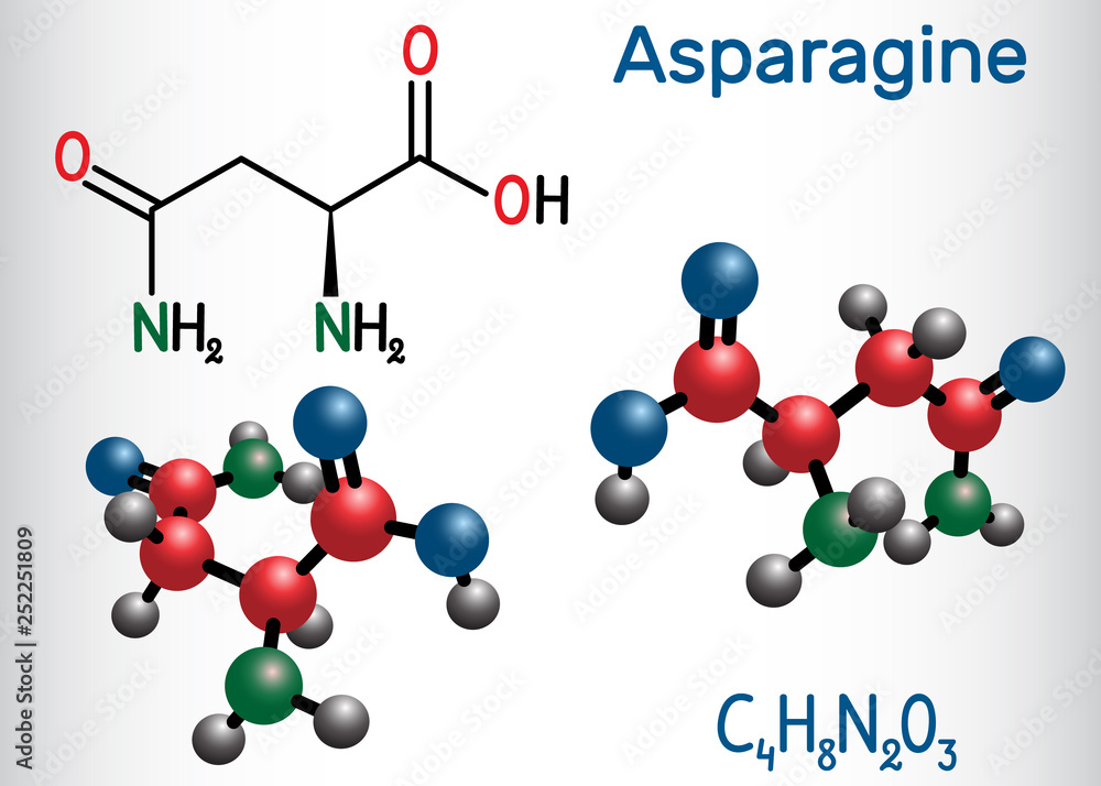 Asparagine (L-asparagine , Asn, N) amino acid molecule. It is is used ...