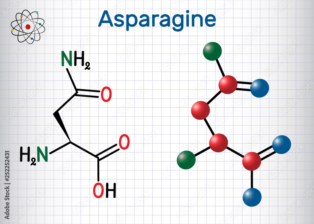 Asparagine (L-asparagine , Asn, N) amino acid molecule. It is is used ...