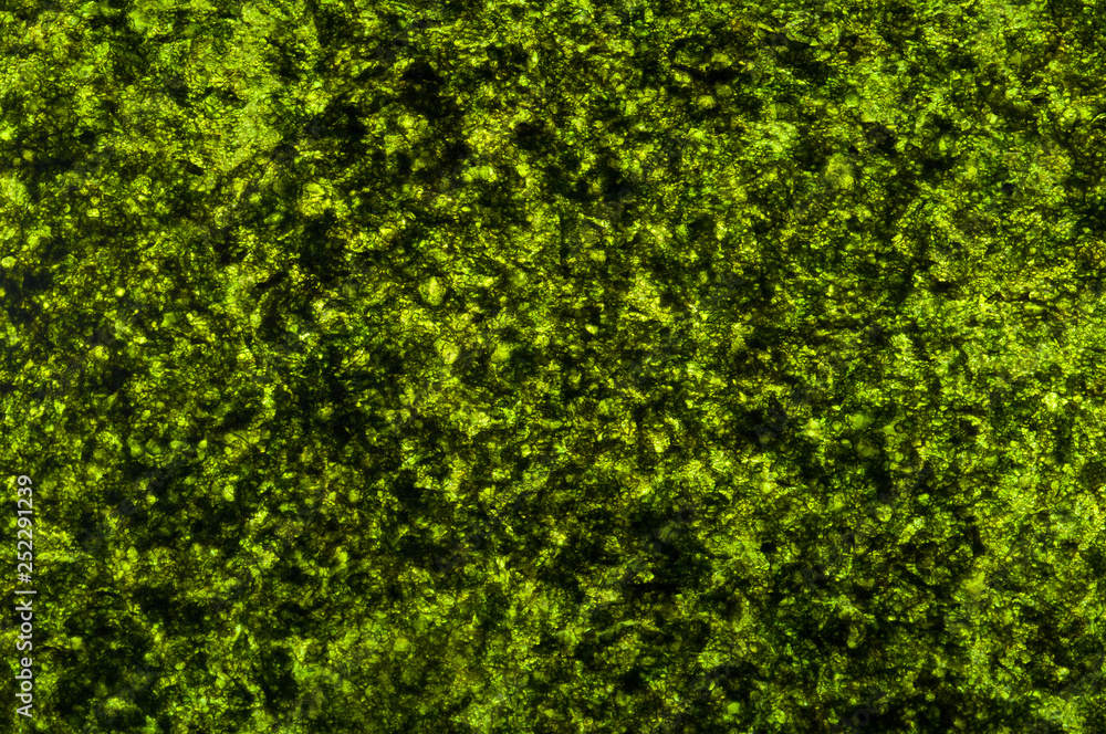 Dried Seaweed Texture