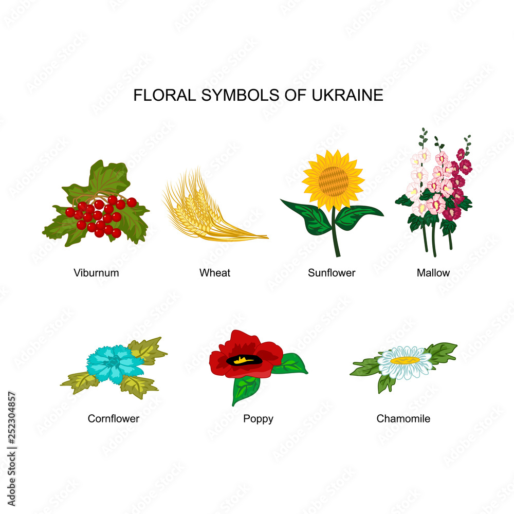 Vector set of floral symbols of Ukraine. Colorful cliparts of viburnum ...