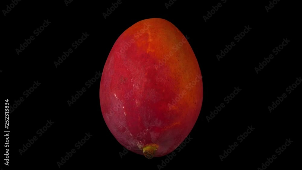 Realistic render of a rotating Sindhoora mango on black background. The ...