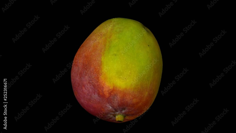 Realistic render of a rotating Sindhoora mango on transparent ...