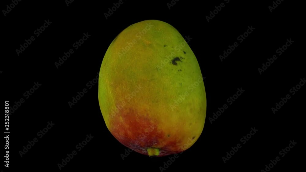 Realistic render of a rotating Sindhoora mango on black background. The ...