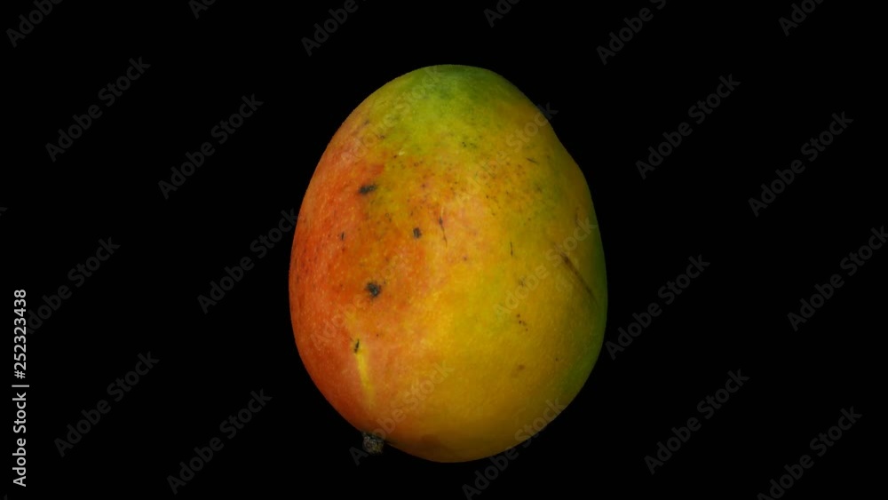 Realistic render of a rotating Sindhoora mango on transparent ...