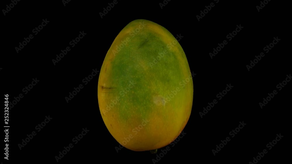Realistic render of a rotating Sindhoora mango on transparent ...