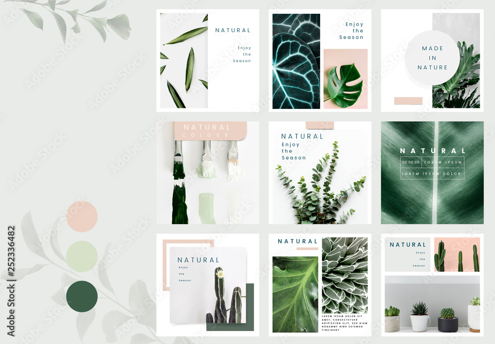 Social Media Post Layouts with Plant Images Stock Template | Adobe Stock