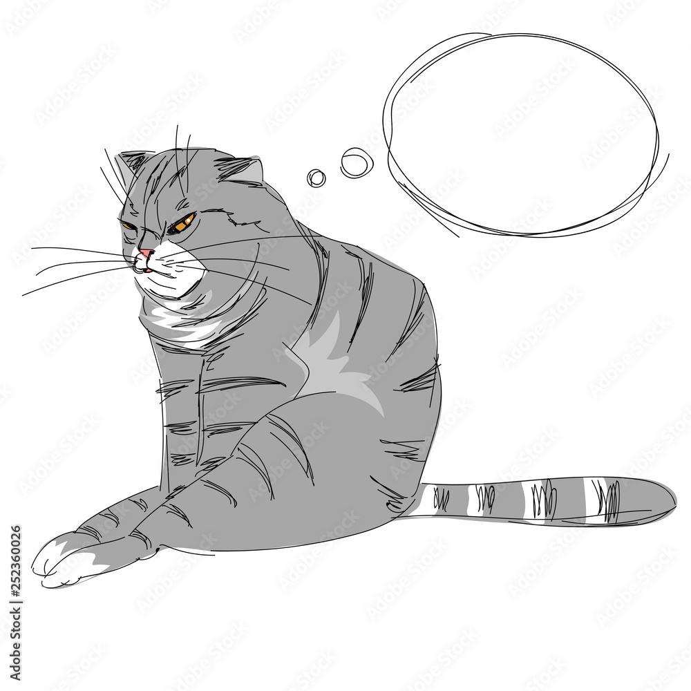 angry cat. sketch. Doodle picture of cat Stock Vector | Adobe Stock