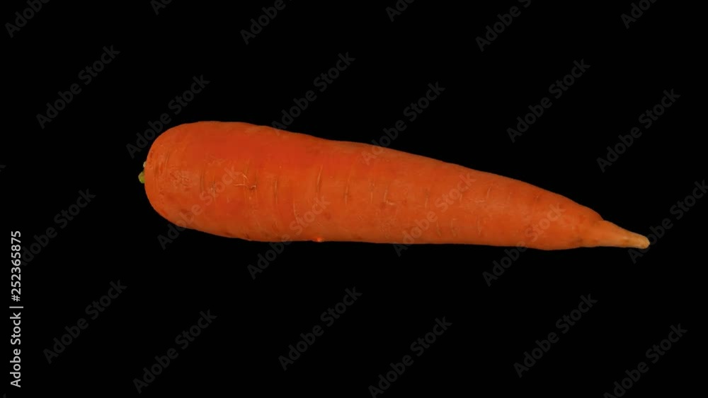 Realistic render of a rotating carrot on transparent background (with ...