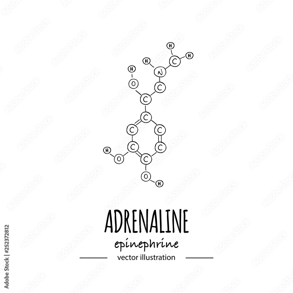 Adrenaline Structure