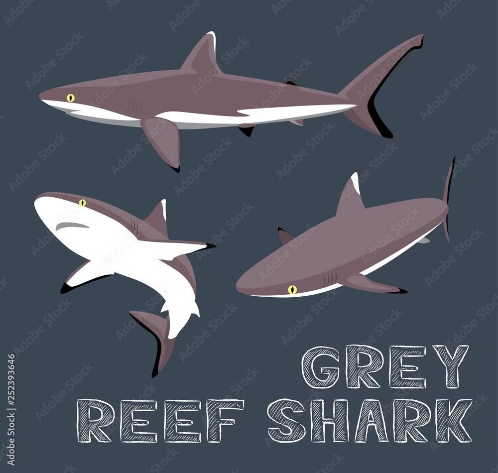 Grey Reef Shark Cartoon Vector Illustration Stock Vector | Adobe Stock