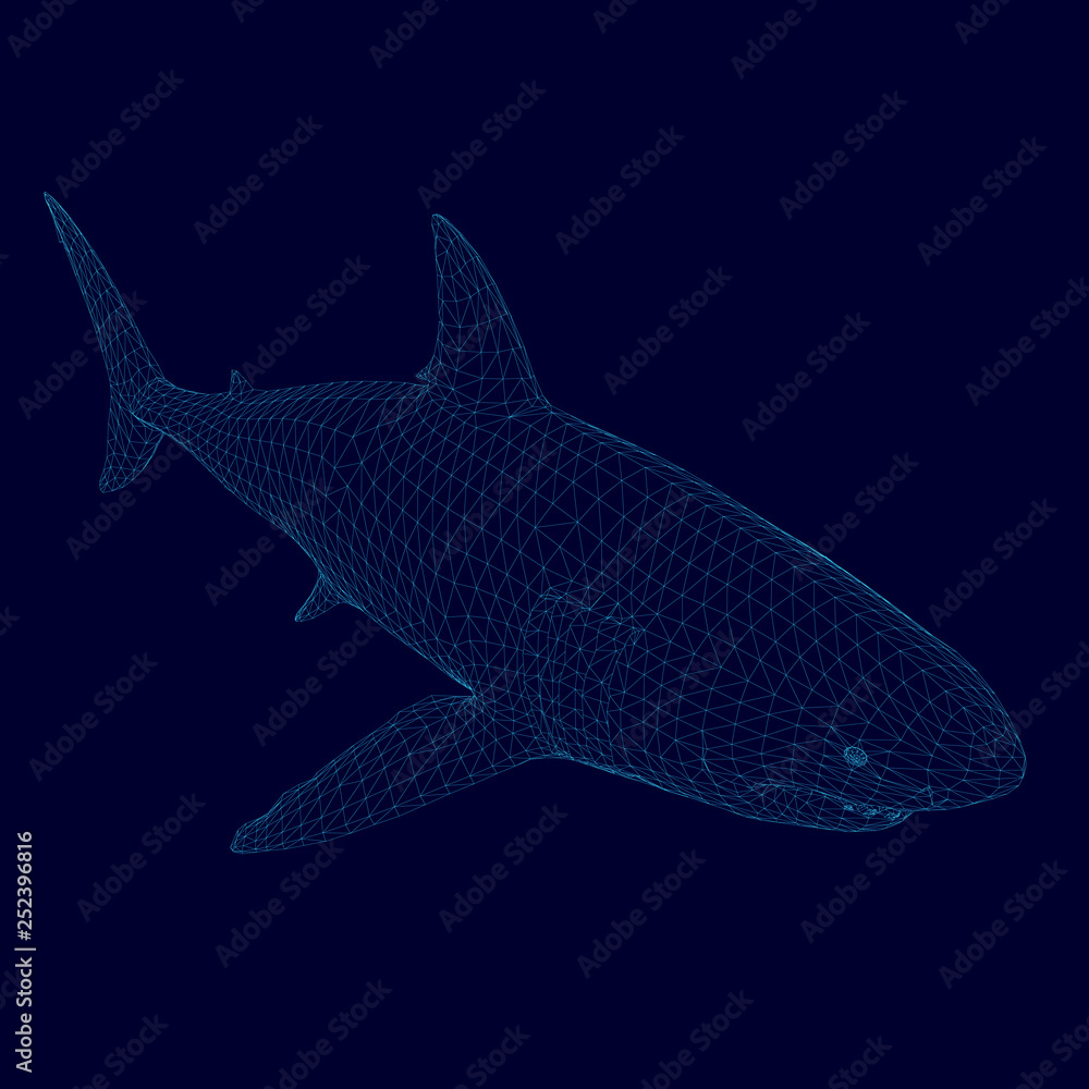 Vector polygonal shark wireframe of blue lines on a dark background ...