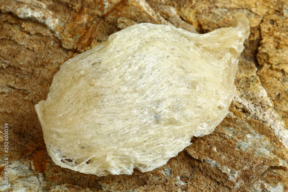 The nest of Edible-Nest Swiftlet, raw edible bird's nest materials for ...